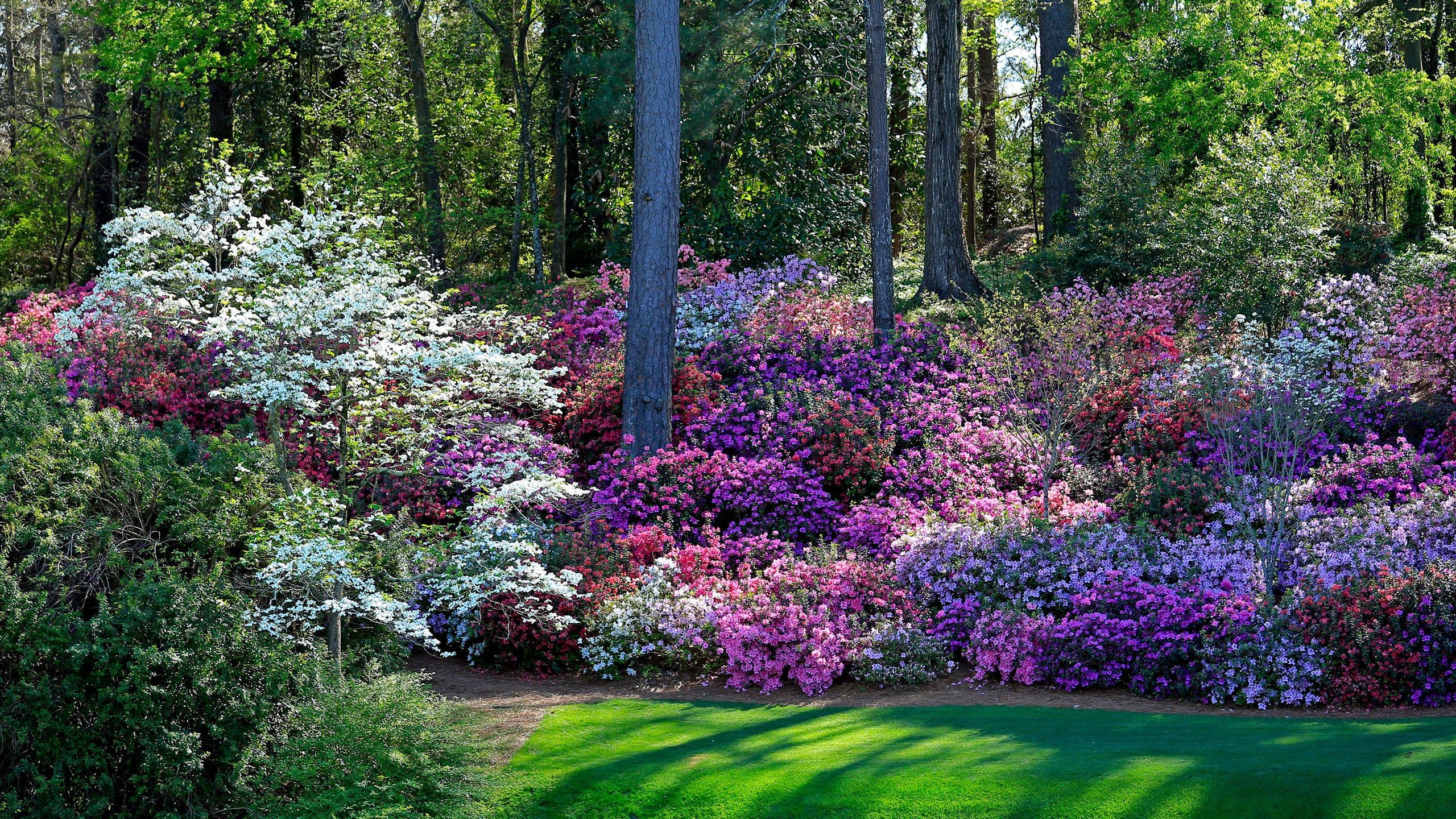 Spring Special 6-Hour Game Improvement Package (10 Available) | Pine ...